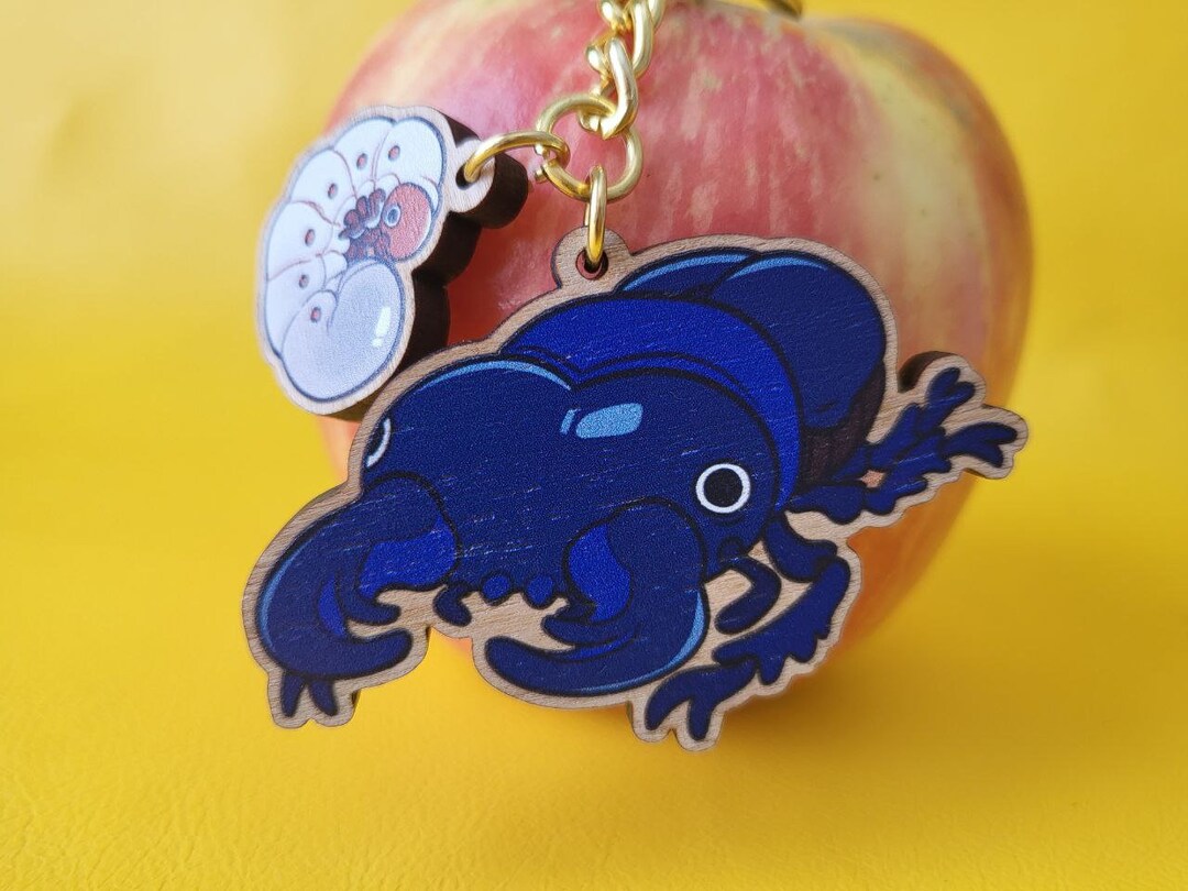 Grub & Stag Beetle Wooden Charm Keychain - Etsy Australia