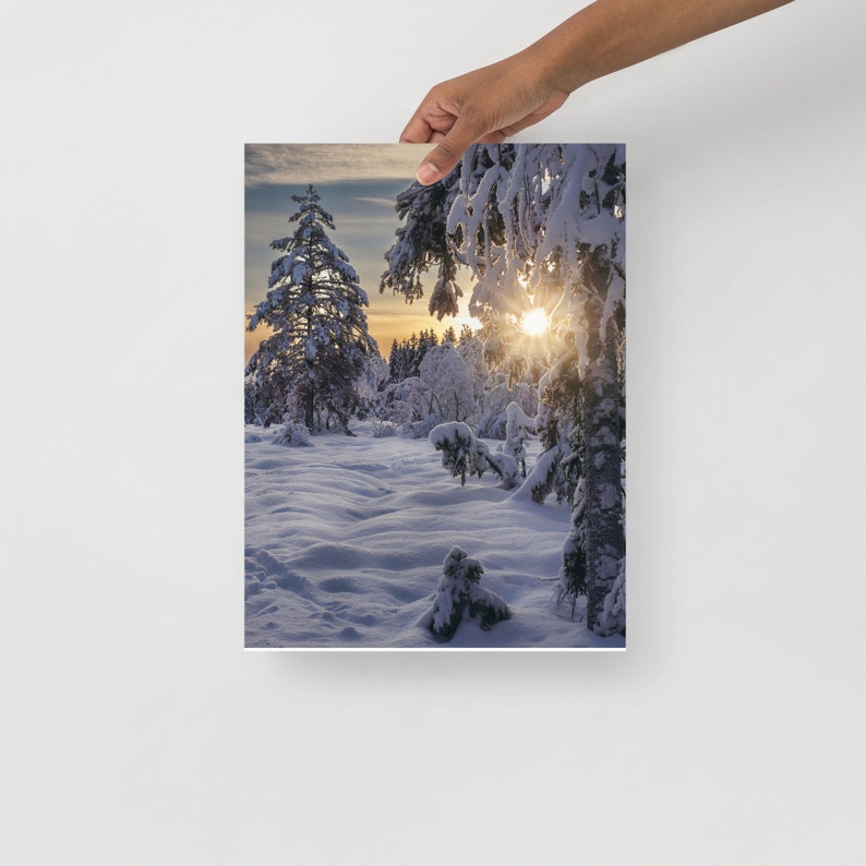 Winter Wonderland Snowy Forest Landscape Print | Oslo Forest Sunset ...