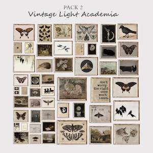 Dark Academia Gallery Wall Art Set, Moody Cottagecore Prints (digital ...