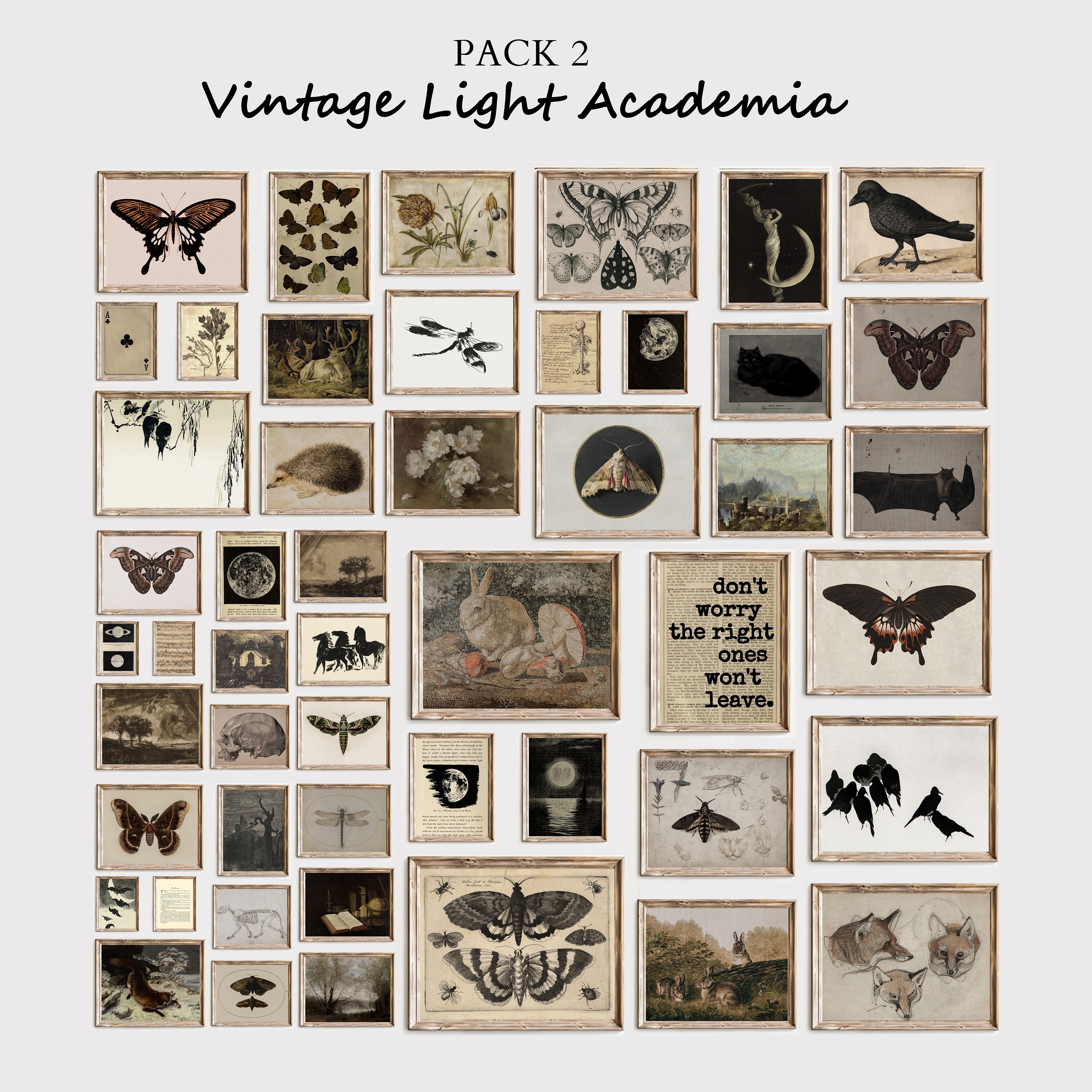 Dark Academia Decor, Mega Bundle Set of 600+ Prints,moody Dark ...