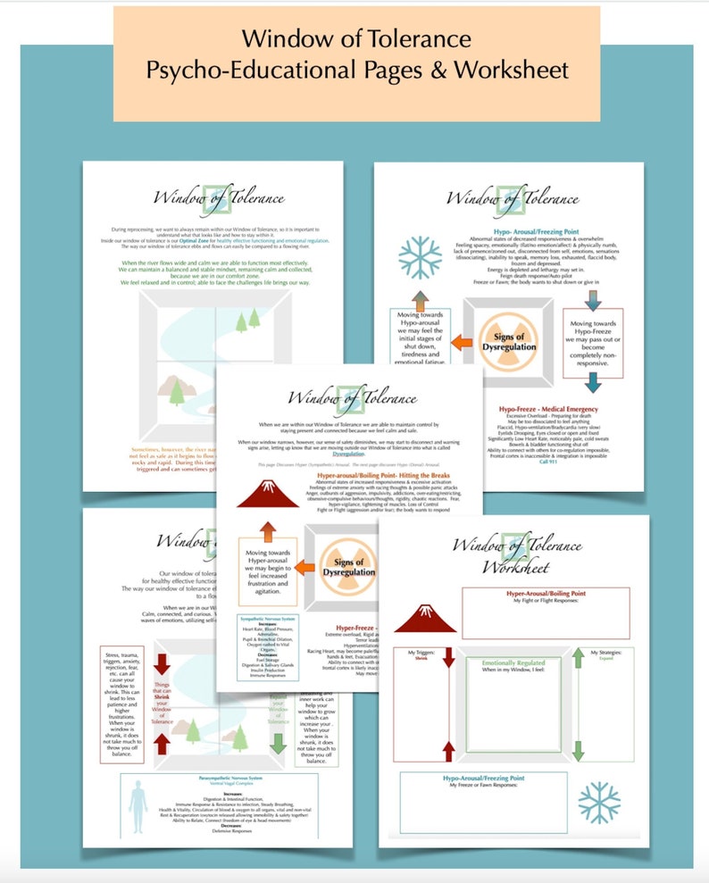 Window of Tolerance, Self-regulation, Autonomic Nervous System ...