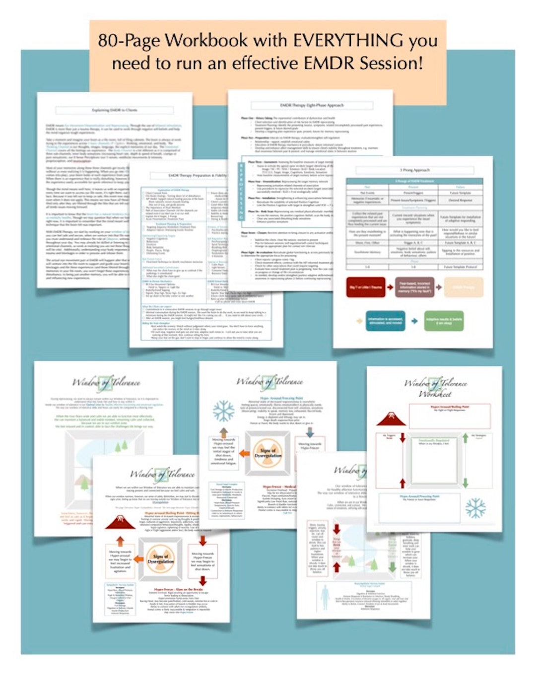 EMDR Practitioner Workbook: Step-by-step Guide, Templates & Scripts ...