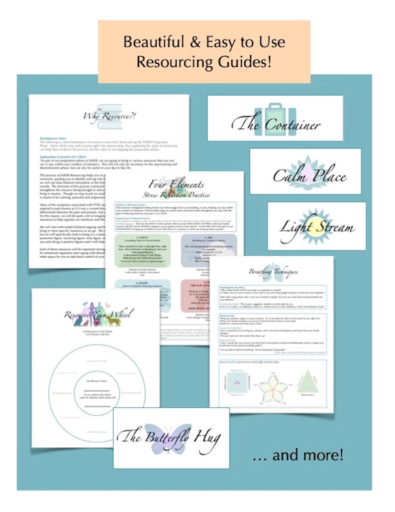 EMDR Practitioner Workbook: Step-by-step Guide, Templates & Scripts ...