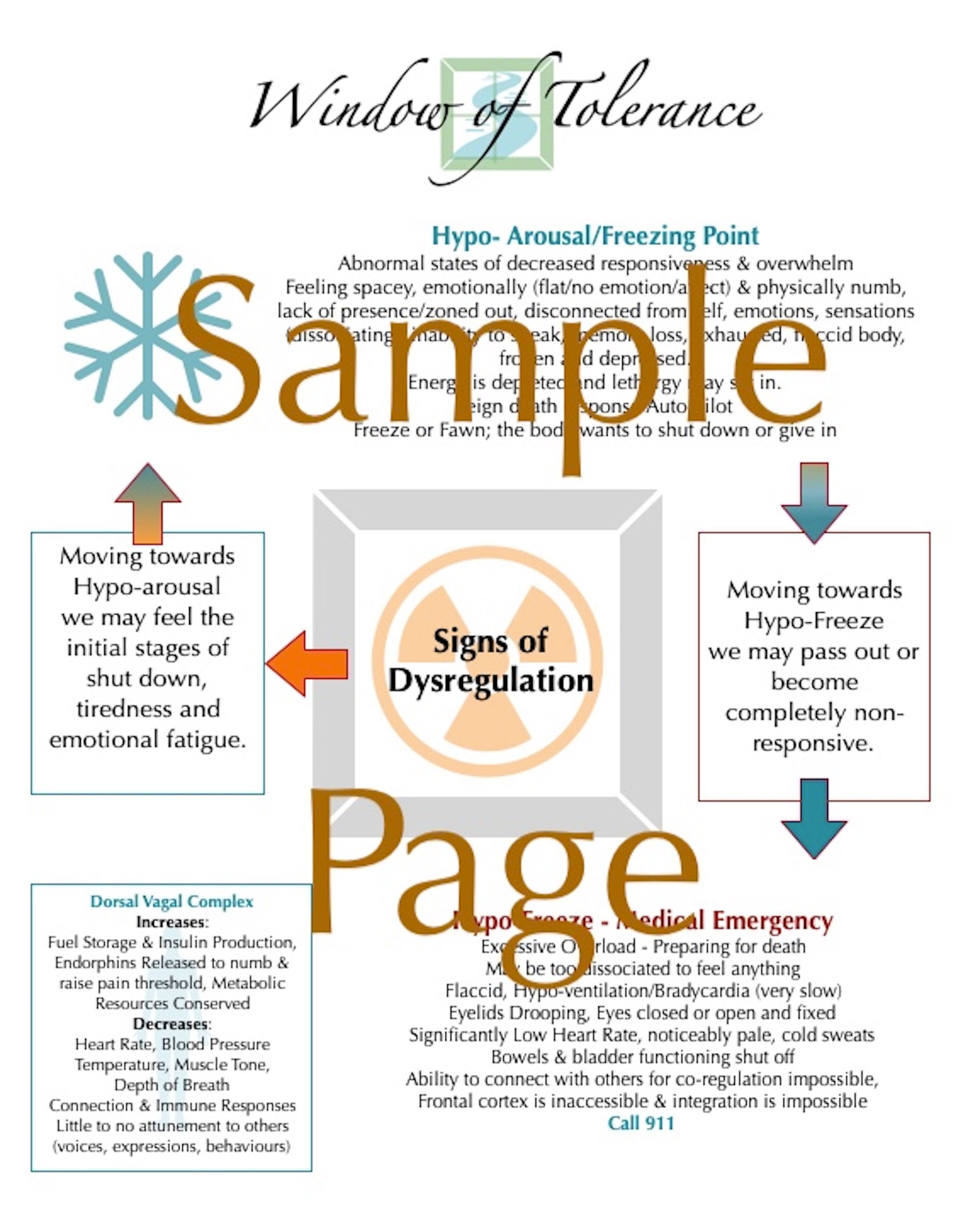 Window of Tolerance, Self-regulation, Autonomic Nervous System ...