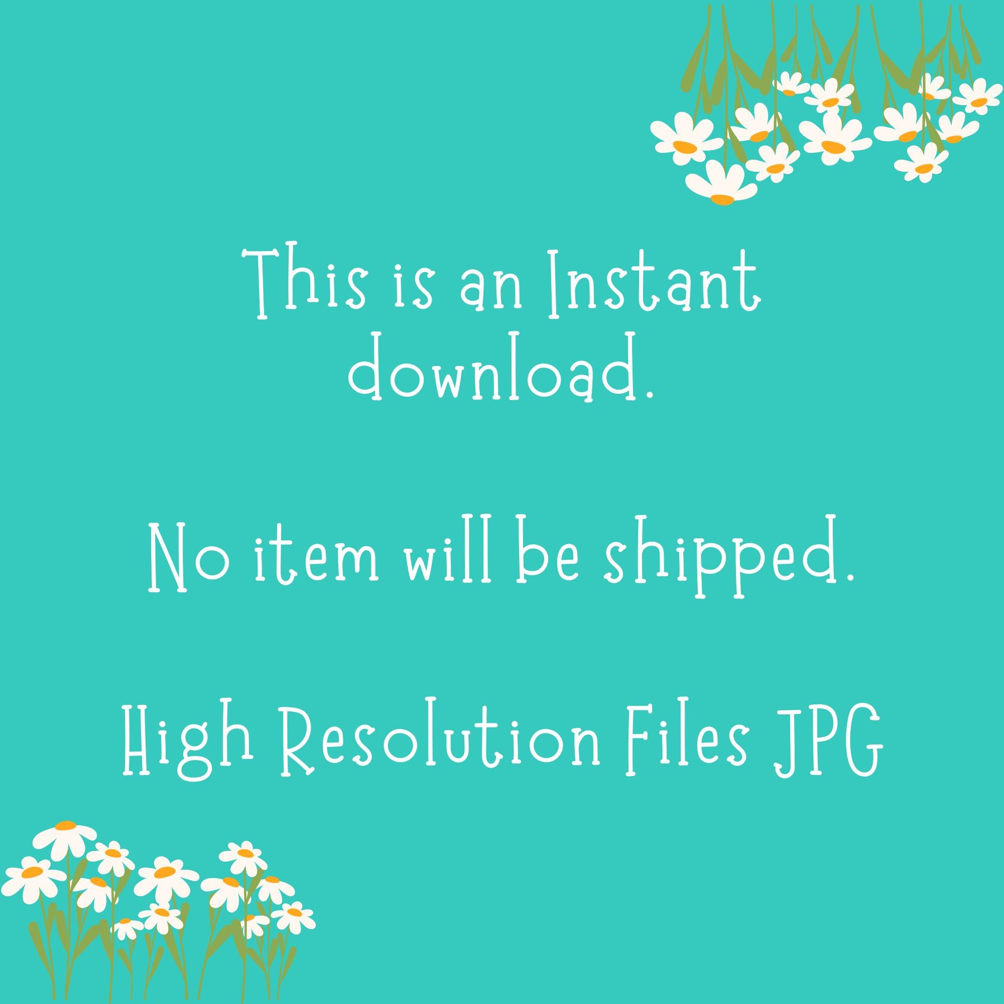 Greece GREEK Alphabet Flash Cards, Kids Learning Greek, Words, Animals ...