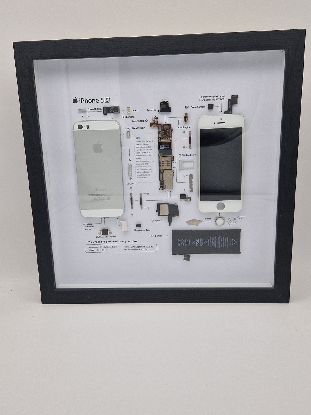 IPhone 5s Picture Frame, iPhone Disassembled, iPhone Teardown Templates ...