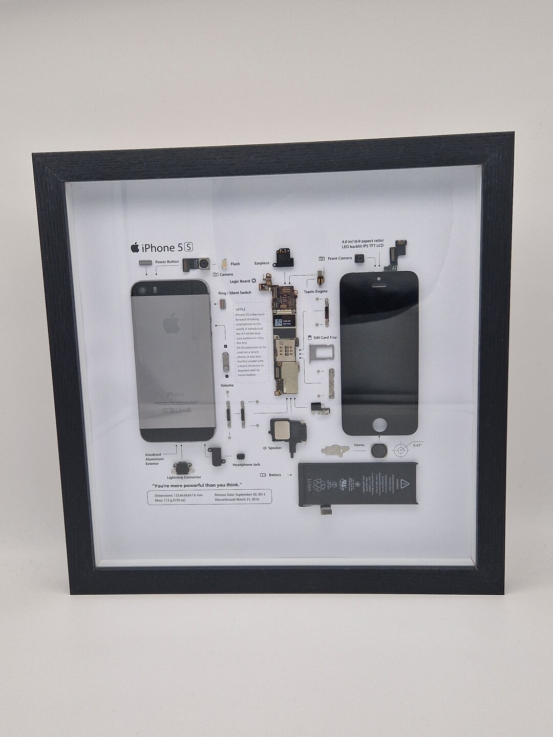 IPhone 5s Picture Frame, iPhone Disassembled, iPhone Teardown Templates ...