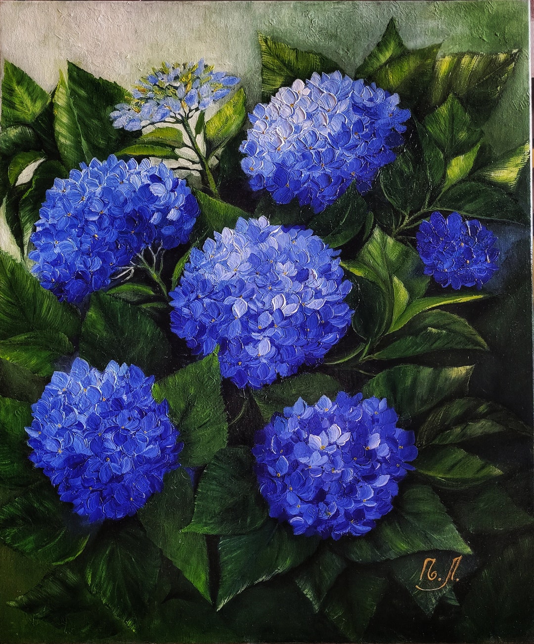 Picture.hydrangeas. - Etsy
