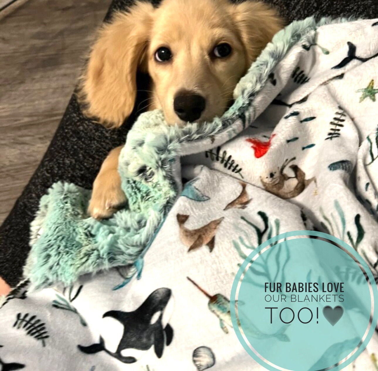 Dogs With Floral Minky Lovey Dog Breeds Lovey Puppy - Etsy