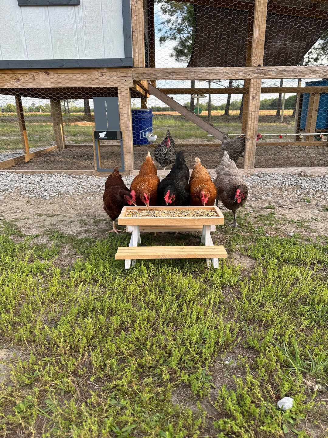 Chicken Picnic Table! NEW Variations Available!! - Etsy