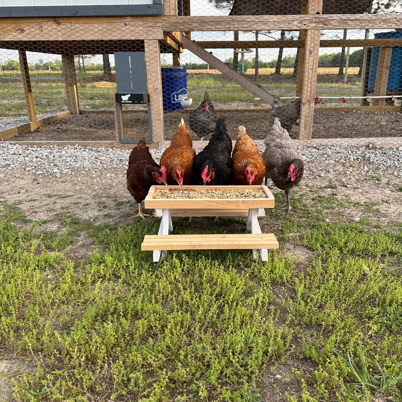 Chicknic Table - Etsy
