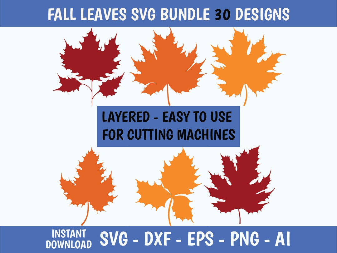 Fall Leaves Svg Bundle Silhouette Leaf Cutting File Silhouette - Etsy