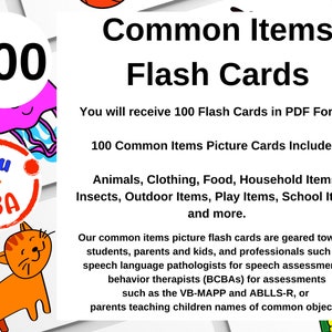 Flash Cards Printable 100 Common Objects | Flash Cards I Assessments ...