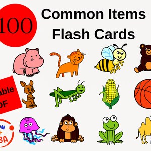 Flash Cards Printable 100 Common Objects | Flash Cards I Assessments ...