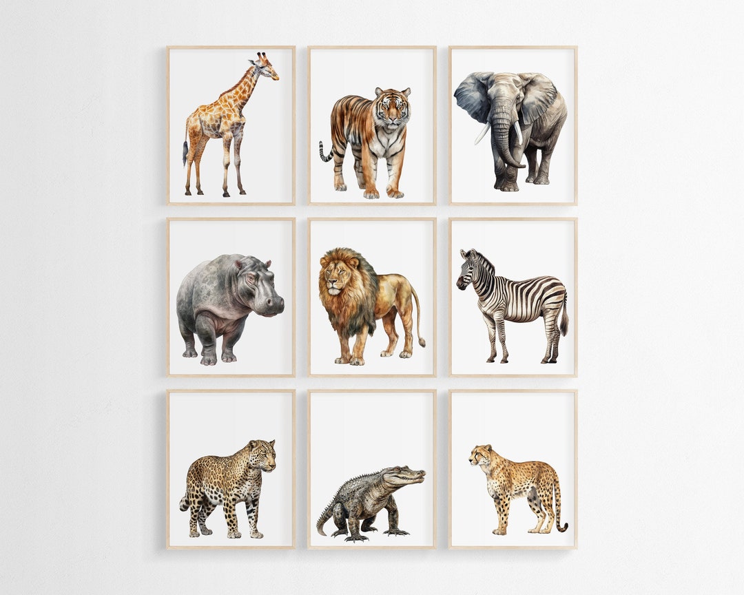 Safari Animal Prints Set: 9 Jungle Nursery Wall Art (digital Download ...