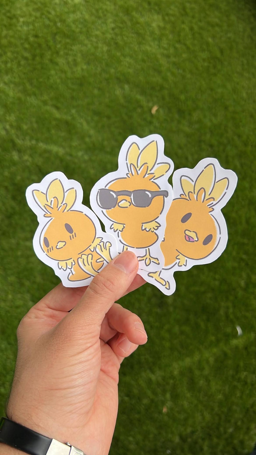 Torchic Stickers - Etsy