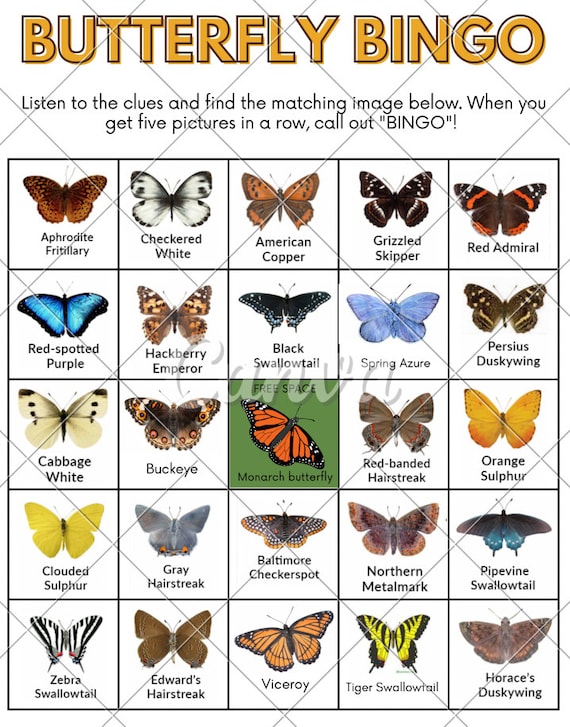 Butterfly Bingo Printable Game Instant Download With 25 Unique