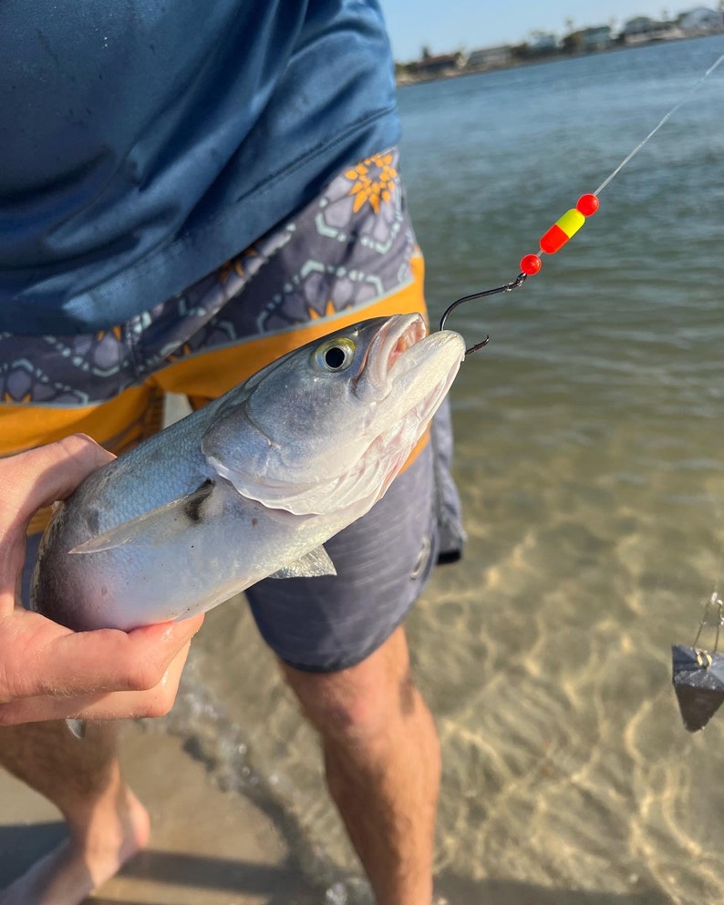 Ten Pack 10 Pompano Rigs by Tide Titan Saltwater Fishing Tackle Hi-low ...