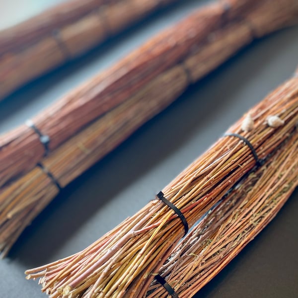 Dried Reeds - Etsy