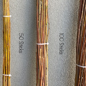 3ft–6ft Willow Branches: Freshly Harvested & Naturally Dried for Basket ...
