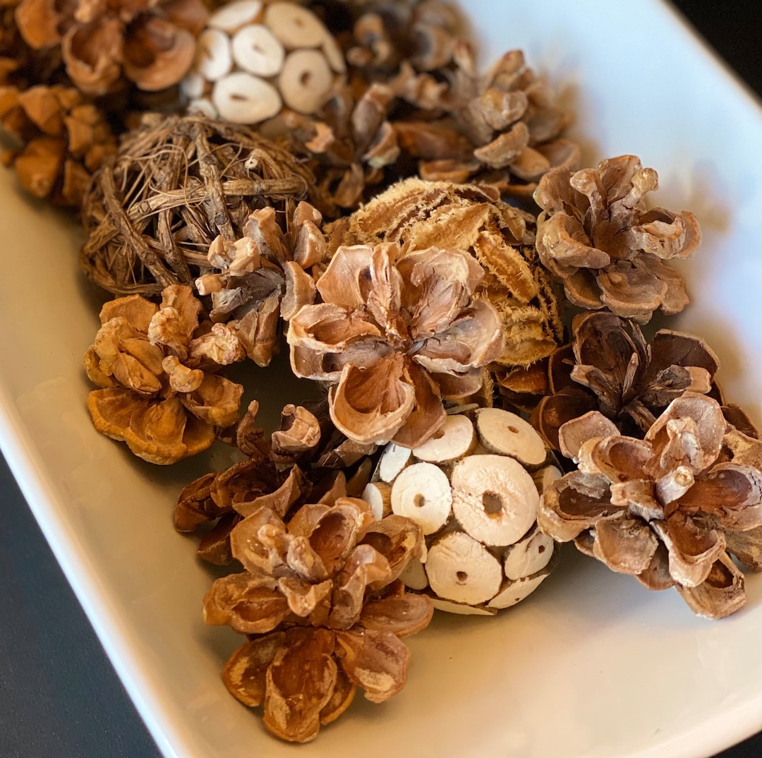 Locally Harvested Pinyon Pinecone for Fall Decor | Natural Holiday ...