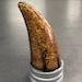 Rancor Tooth Lightsaber Pommel galaxy's Edge Savi's Workshop and Lgt ...