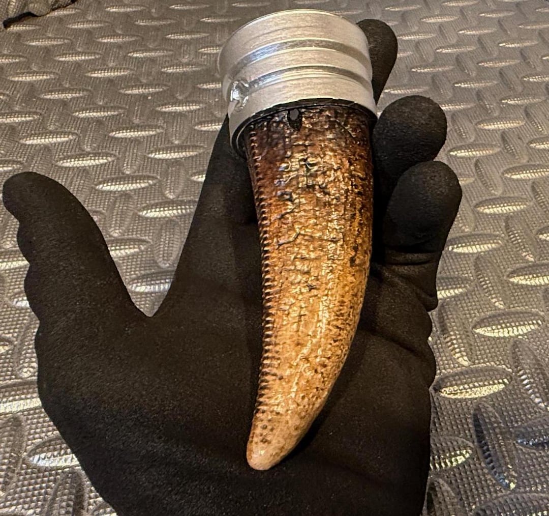 Rancor Tooth Lightsaber Pommel (galaxy's Edge Savi's Workshop and Lgt ...