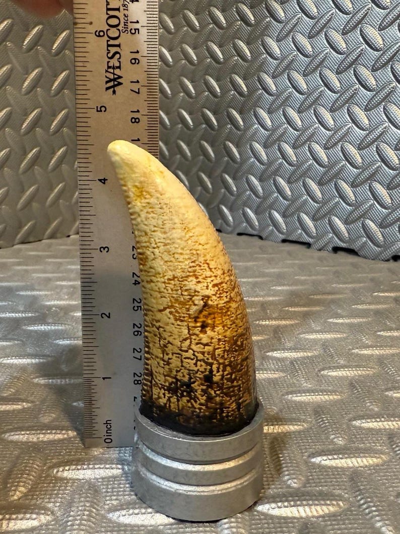 Rancor Tooth Lightsaber Pommel (galaxy's Edge Savi's Workshop and Lgt ...
