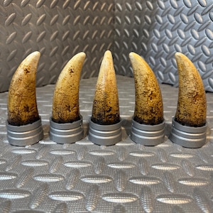 Rancor Tooth Lightsaber Pommel (galaxy's Edge Savi's Workshop and Lgt ...