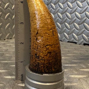 Rancor Tooth Lightsaber Pommel (galaxy's Edge Savi's Workshop and Lgt ...