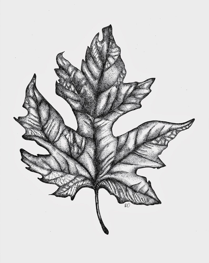 Maple Leaf - Etsy