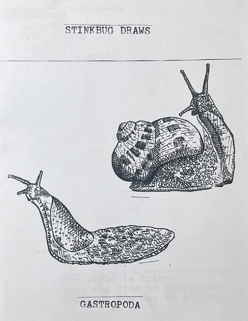 Stinkbug Draws #5 - Gastropoda - Etsy