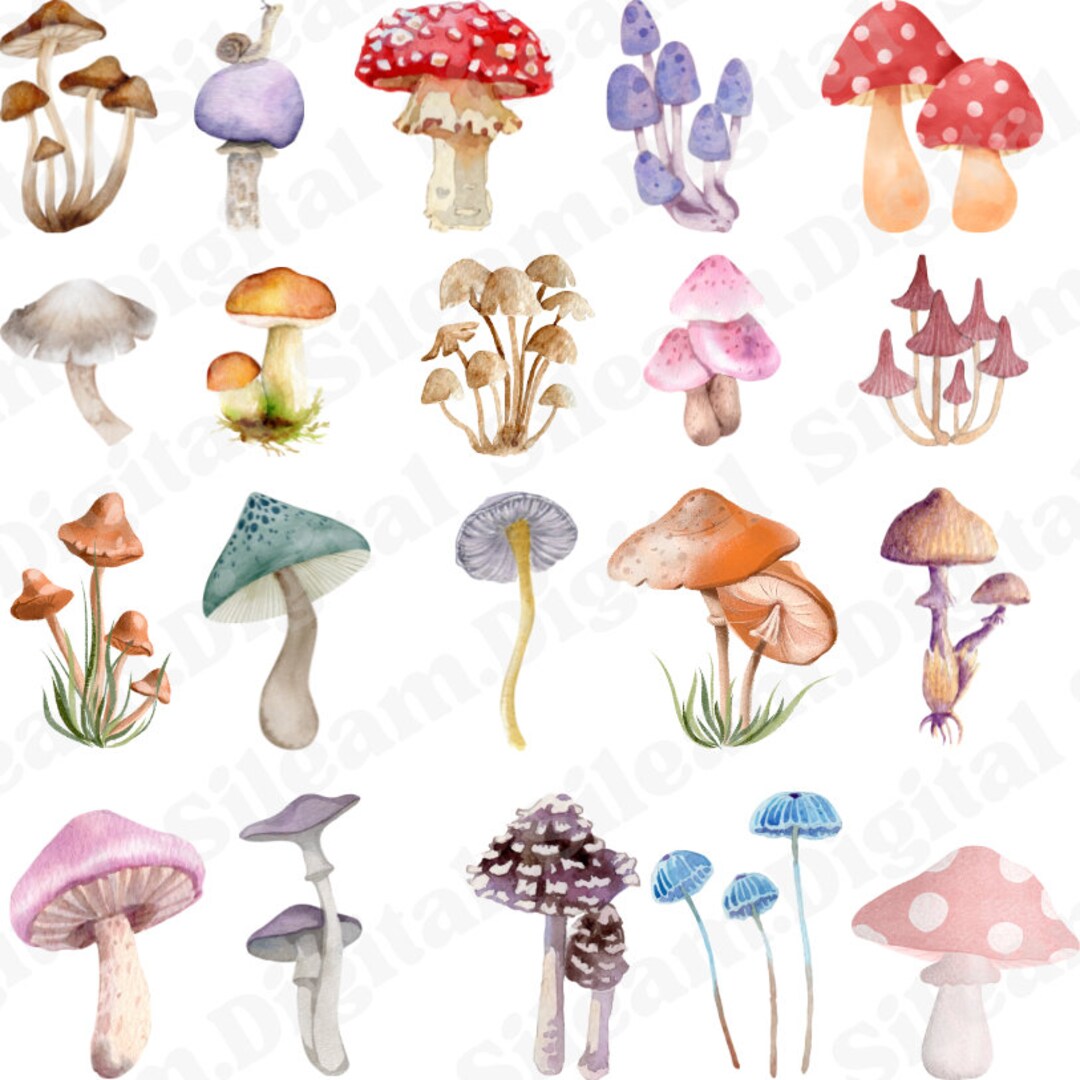 Watercolor Mushroom PNG Files. Mushroom Digital Files. Mushroom Clipart ...