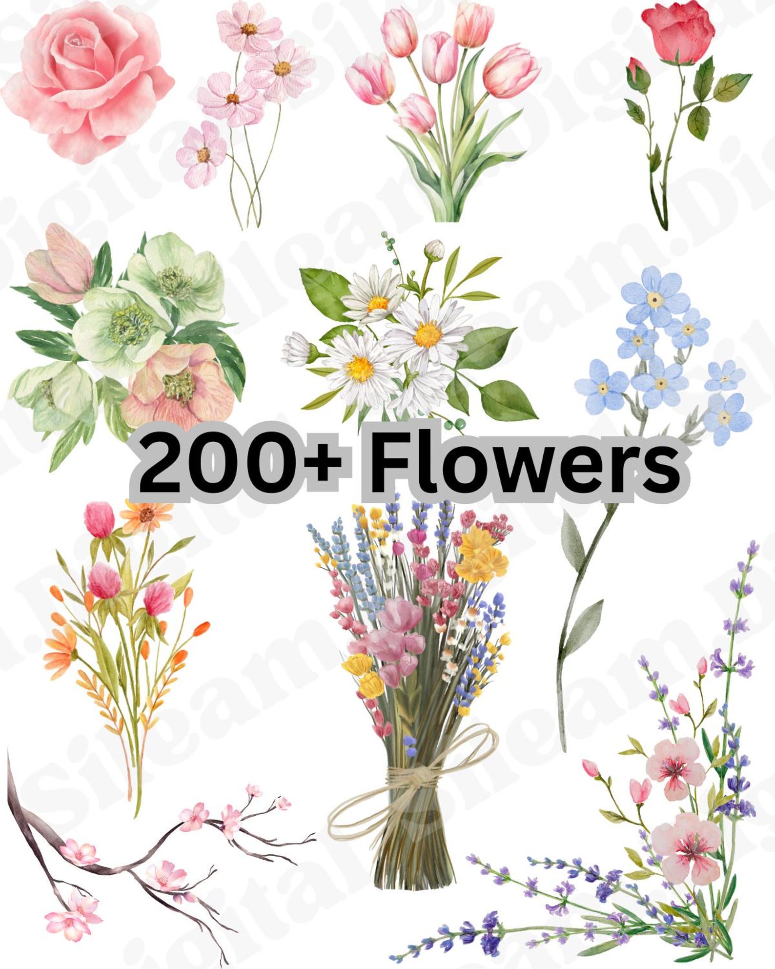 200+ Digital Watercolor Flower Bundle. PNG Flower Stems. Flower ...
