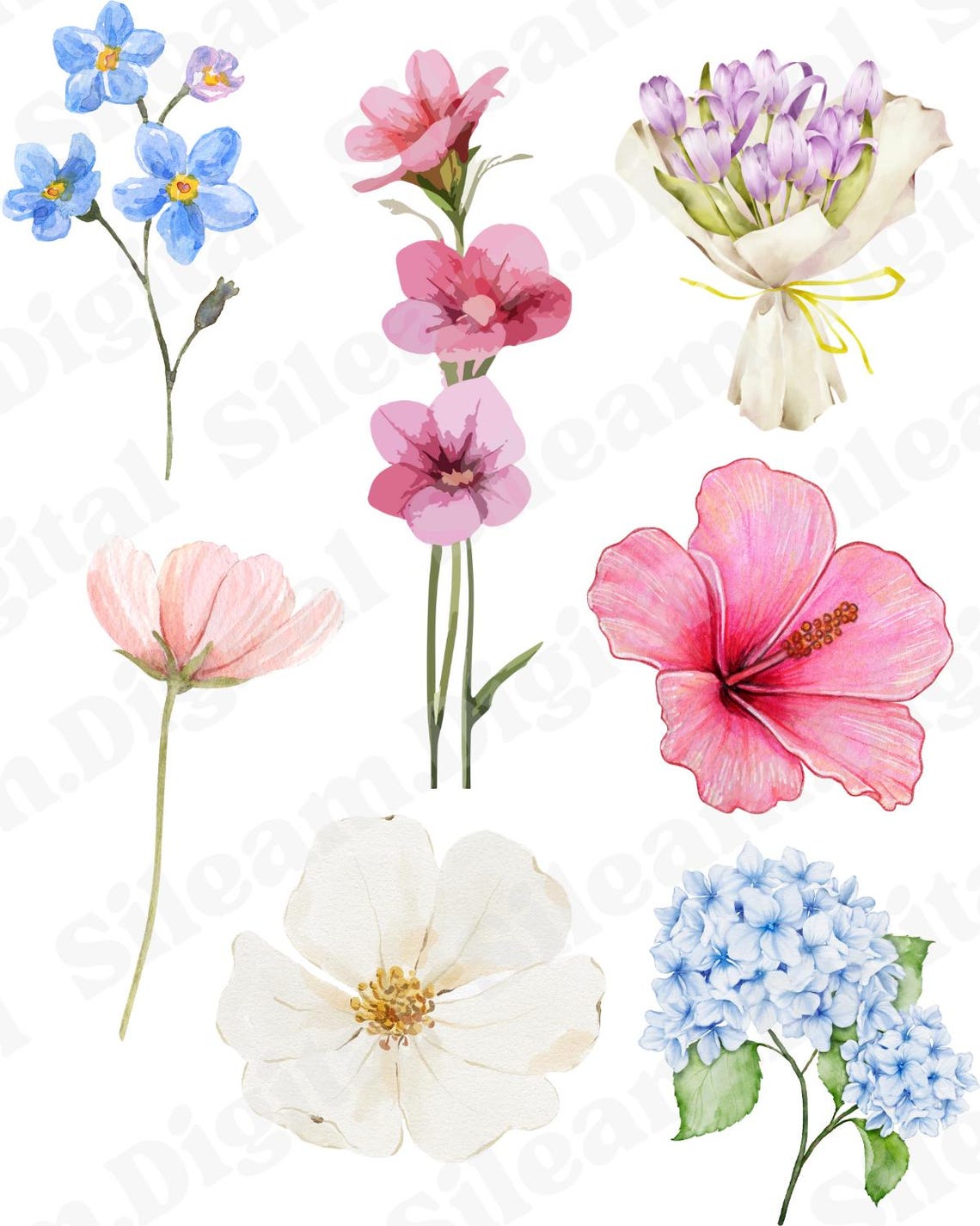 200+ Digital Watercolor Flower Bundle. PNG Flower Stems. Flower ...