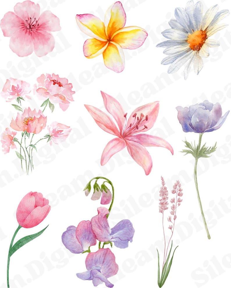 200+ Digital Watercolor Flower Bundle. PNG Flower Stems. Flower ...