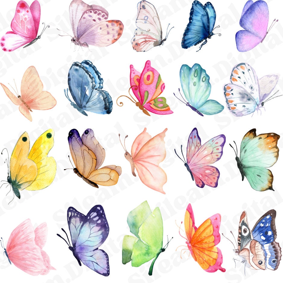 Watercolor Butterfly PNG Files. Digital Files for Cricut. Butterfly ...