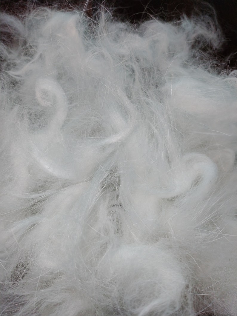 Raw Angora Rabbit Wool Pure White - Etsy