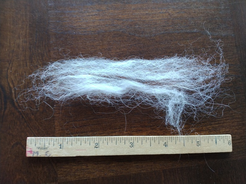 Raw Angora Rabbit Wool Pure White - Etsy