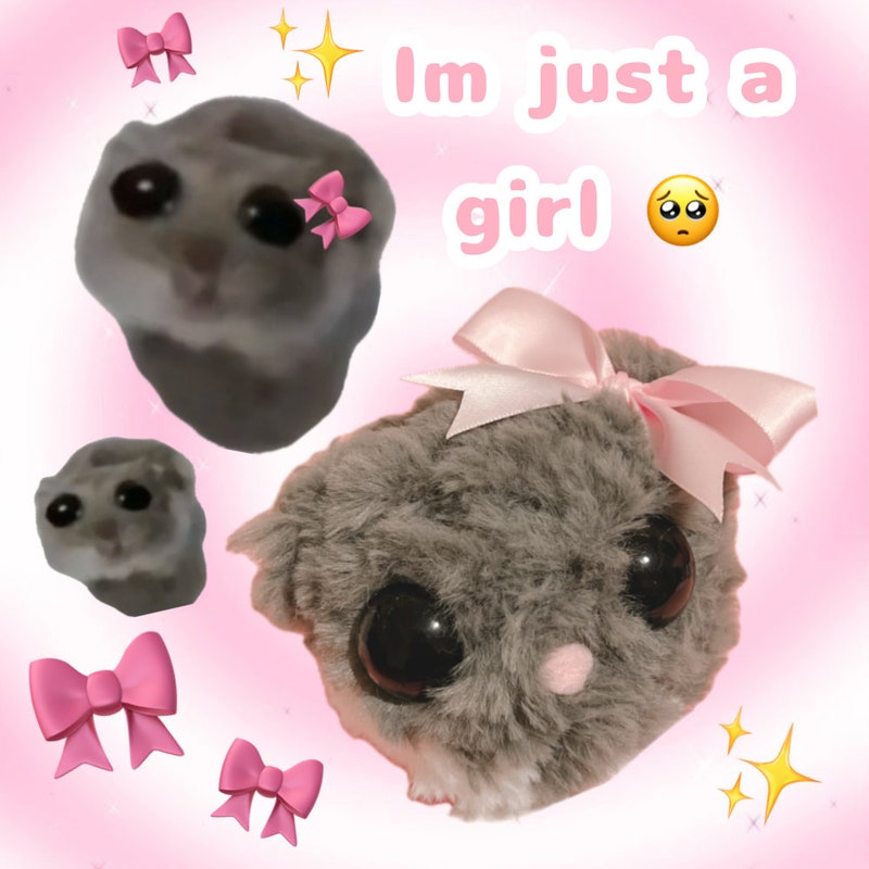Sad Hamster Plushie Meme - Etsy
