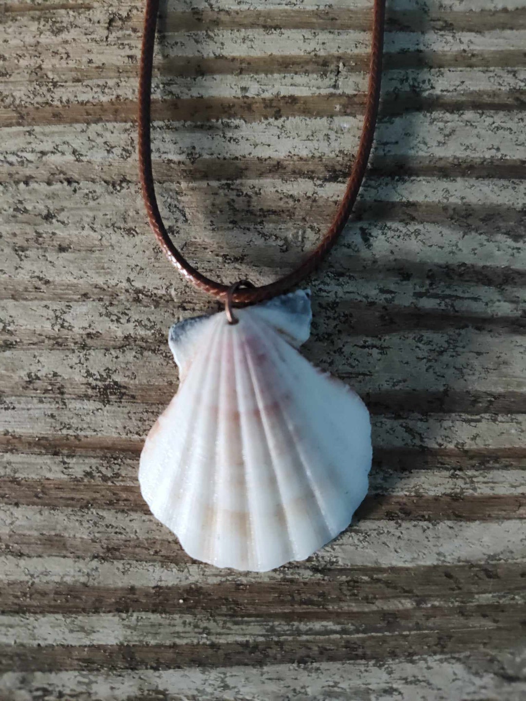 Natural Seashell Necklace Cream, Pink, Scallop Shell Mermaid Ocean ...