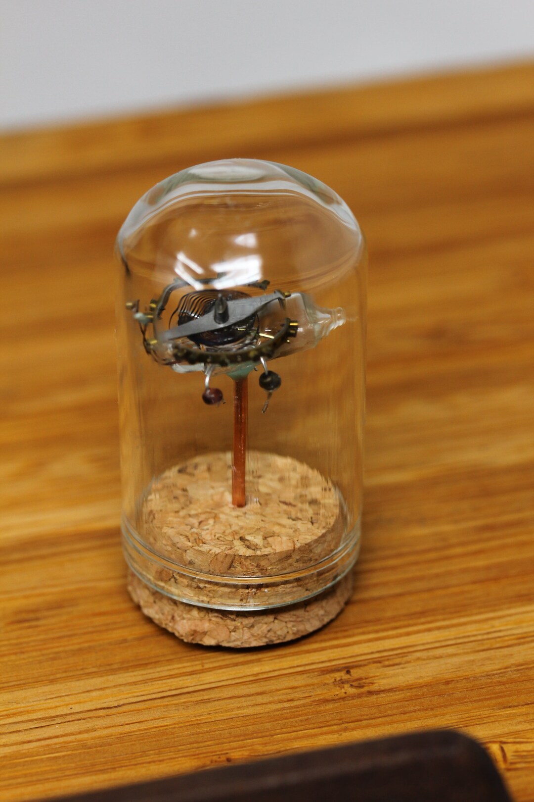 Bug Made From Vintage Watch Parts, Tiny Lightbulb, Glass Cloche ...