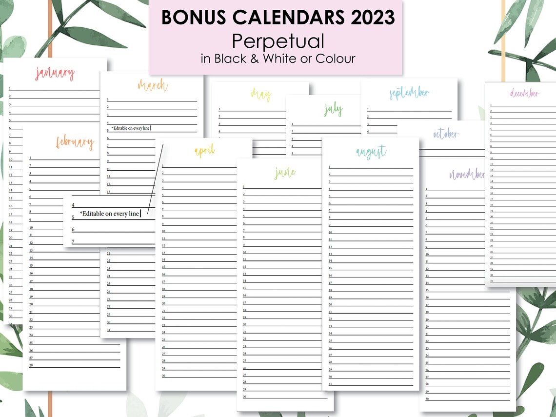 2023 2024 Printable Calendar Bundle Portrait, Editable, Monthly ...