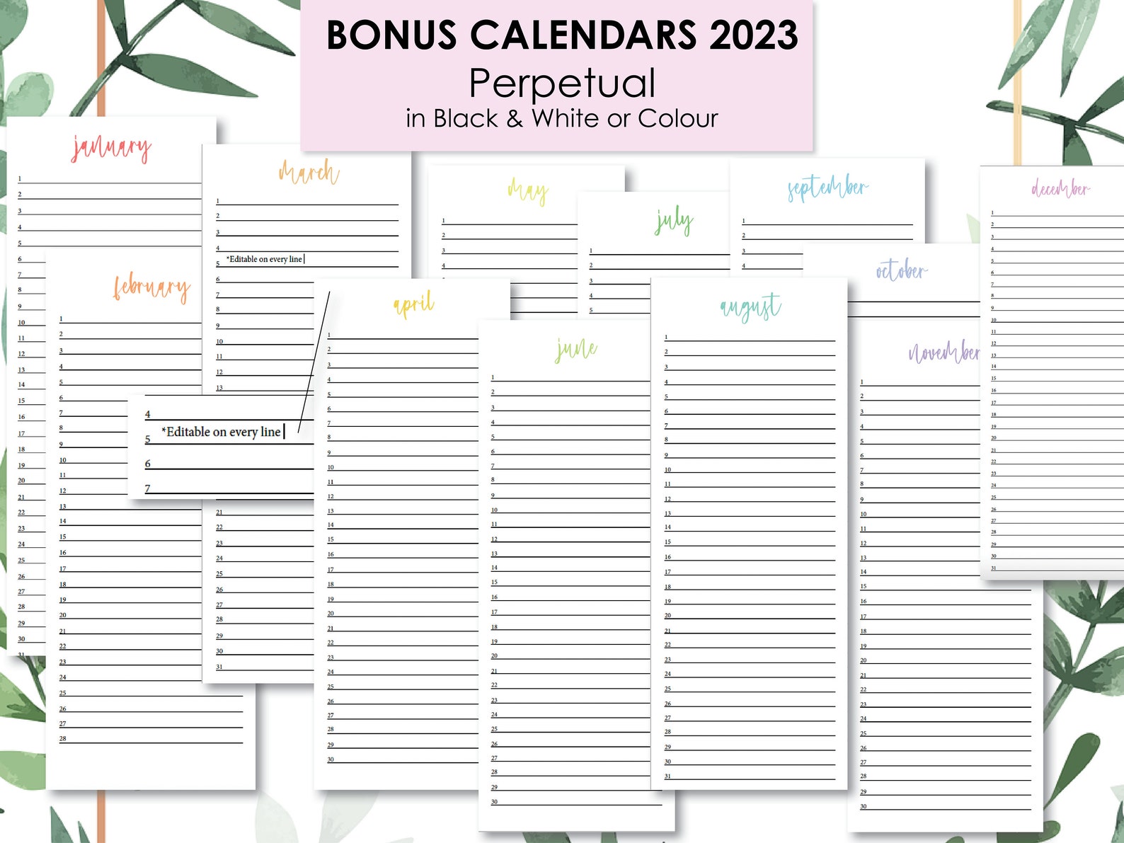 2023 2024 Printable Calendar Bundle Portrait, Editable, Monthly ...