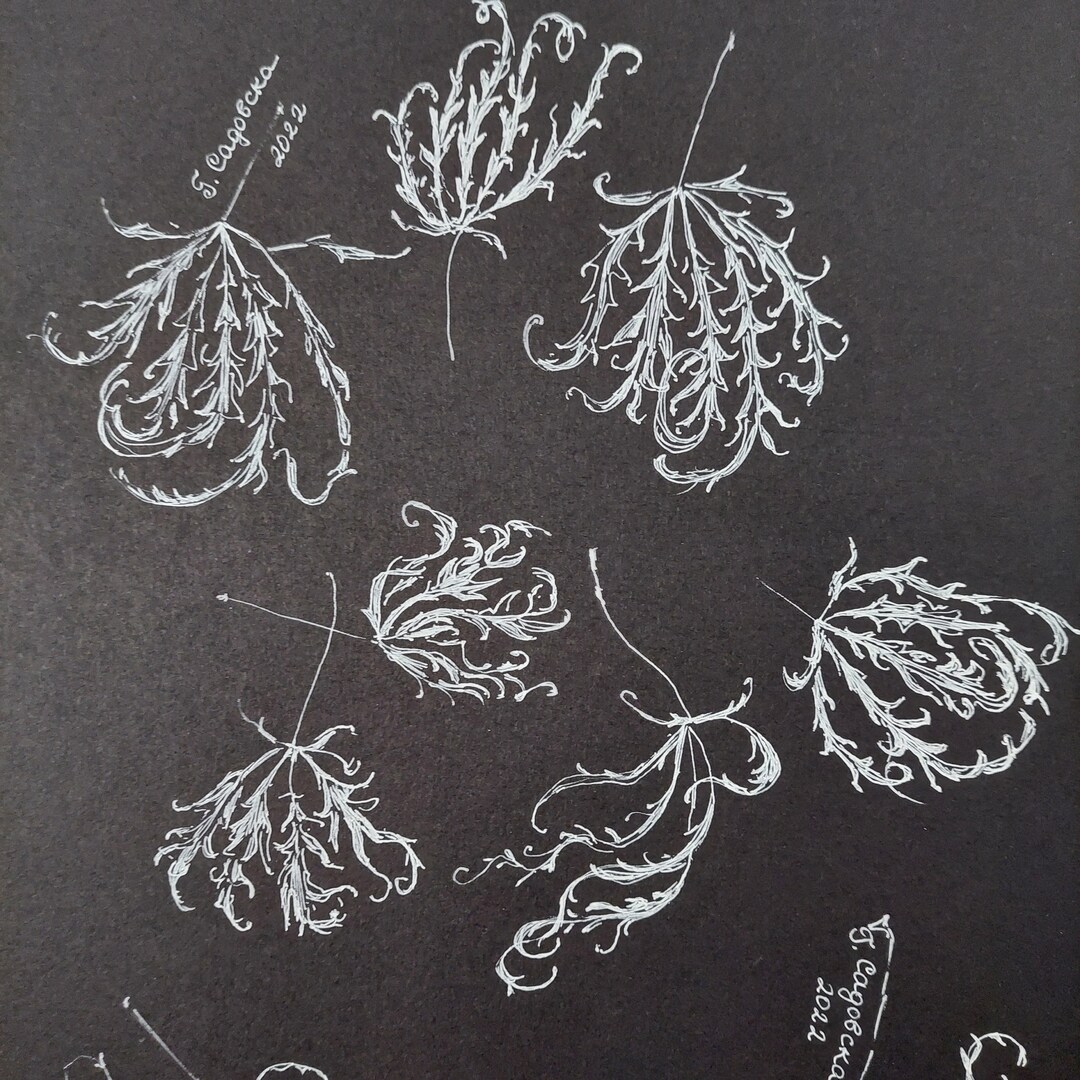 Japanese Maple Original Artwork Maple Leaves Drawing Leaves Drawing ...