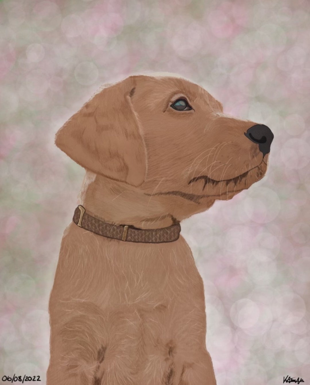 Digital Dog Drawing - Etsy