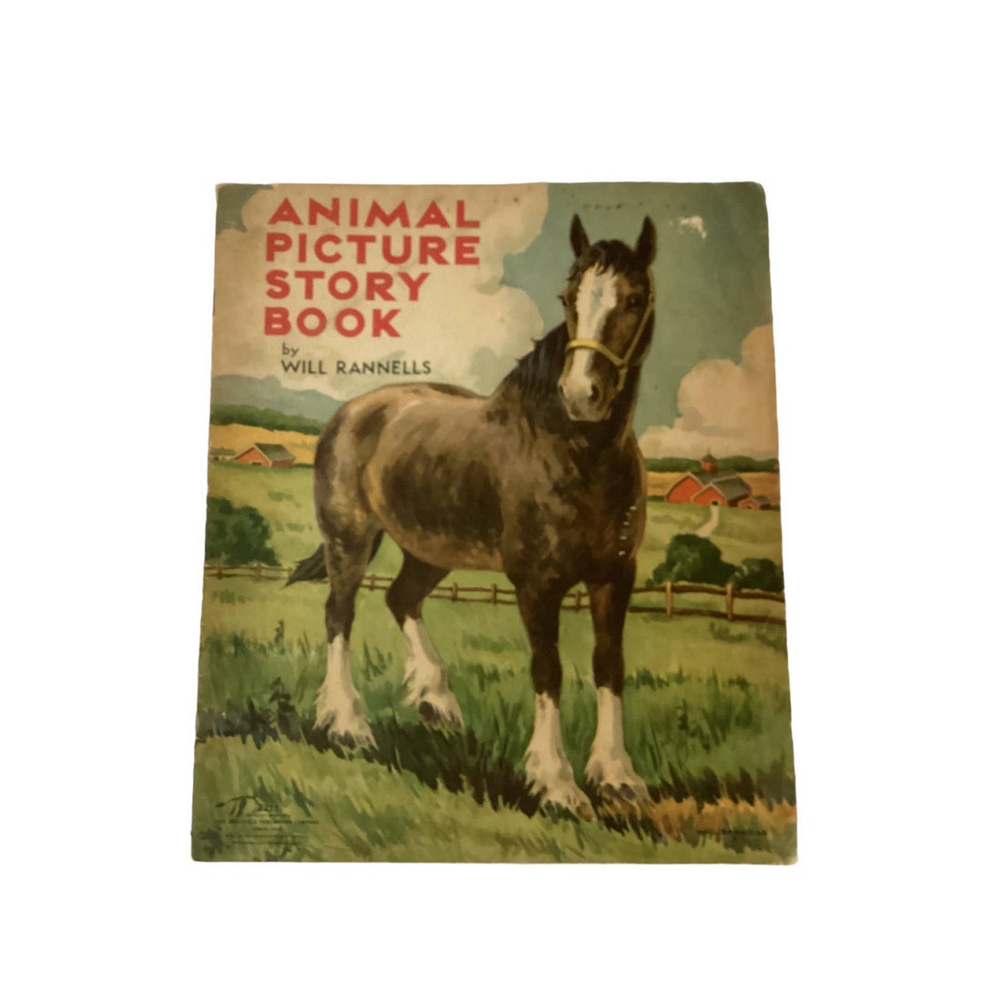 Vintage Animal Picture Story Book by Will Randall - Etsy