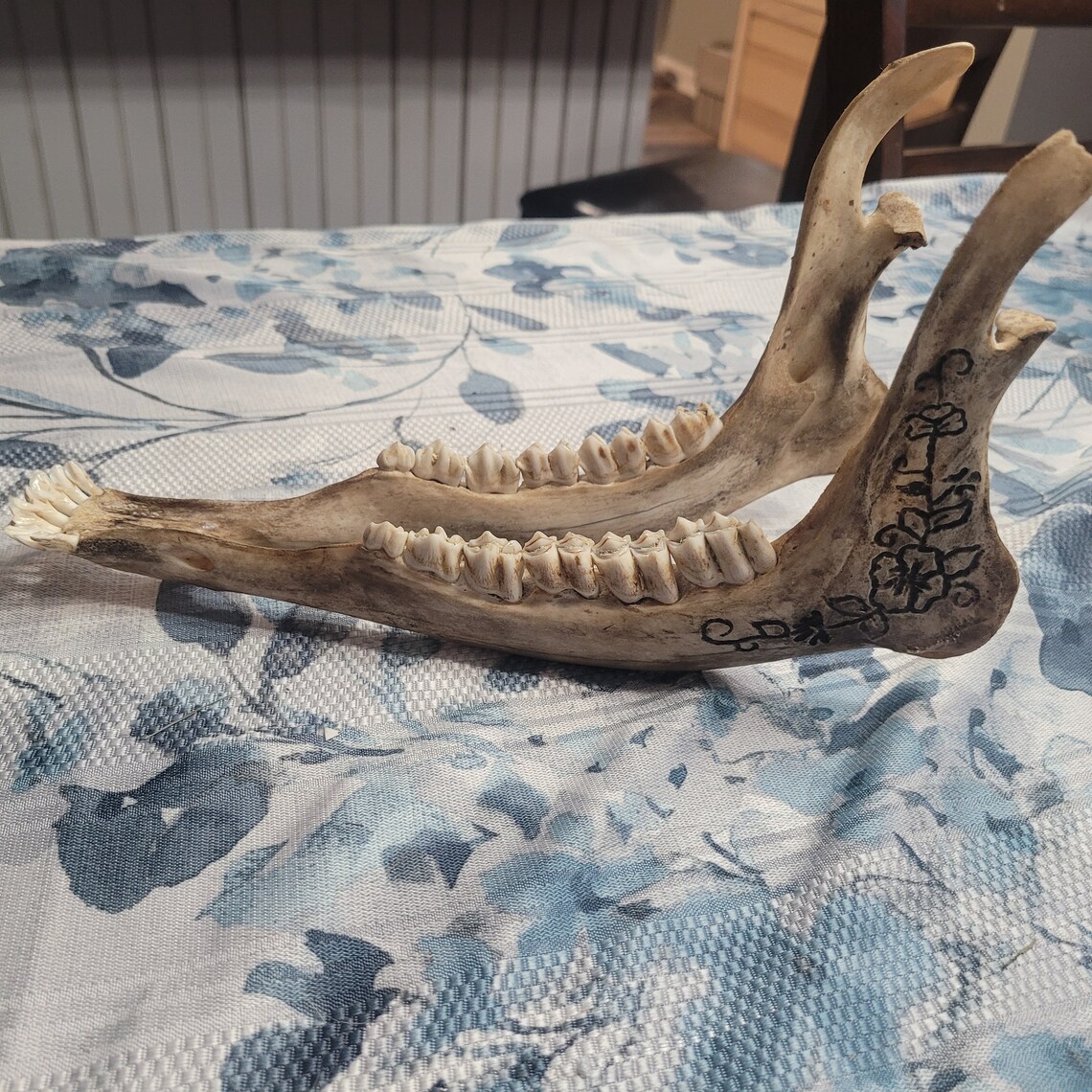 Carved Jaw Bone - Etsy