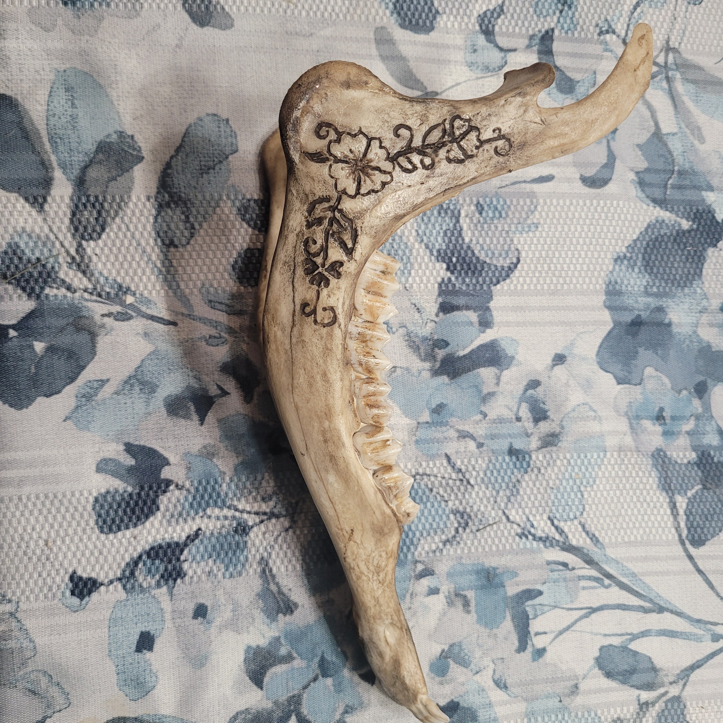 Carved Jaw Bone - Etsy