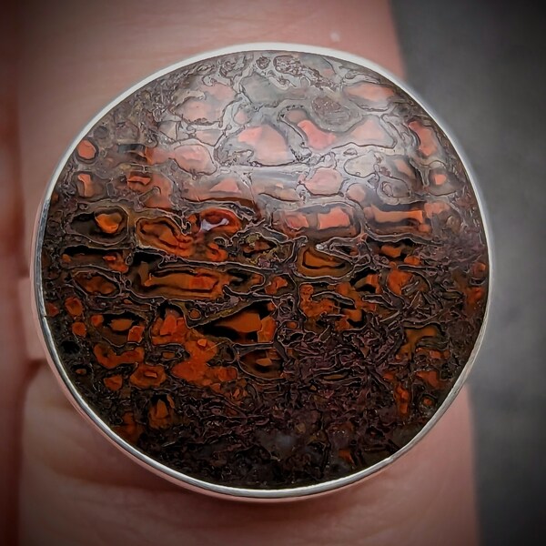 Dinosaur Bone Ring - Etsy